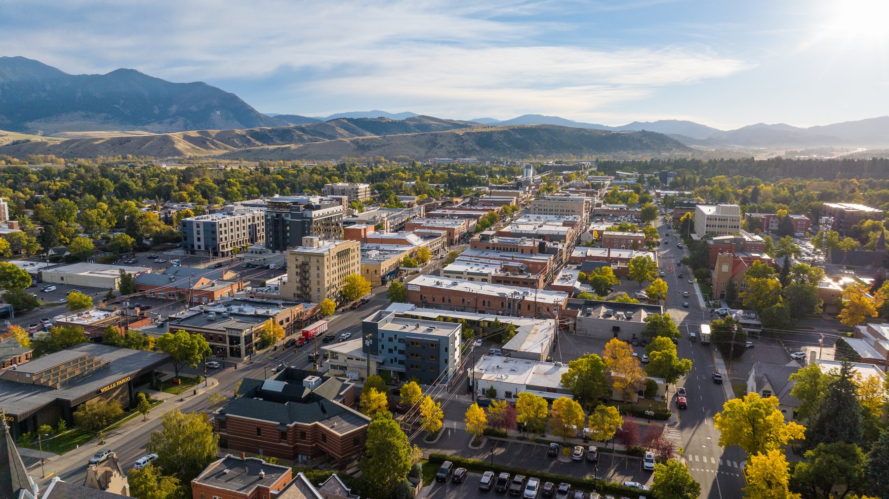 Plan the Perfect Day Trip from Bozeman to Yellowstone National Park