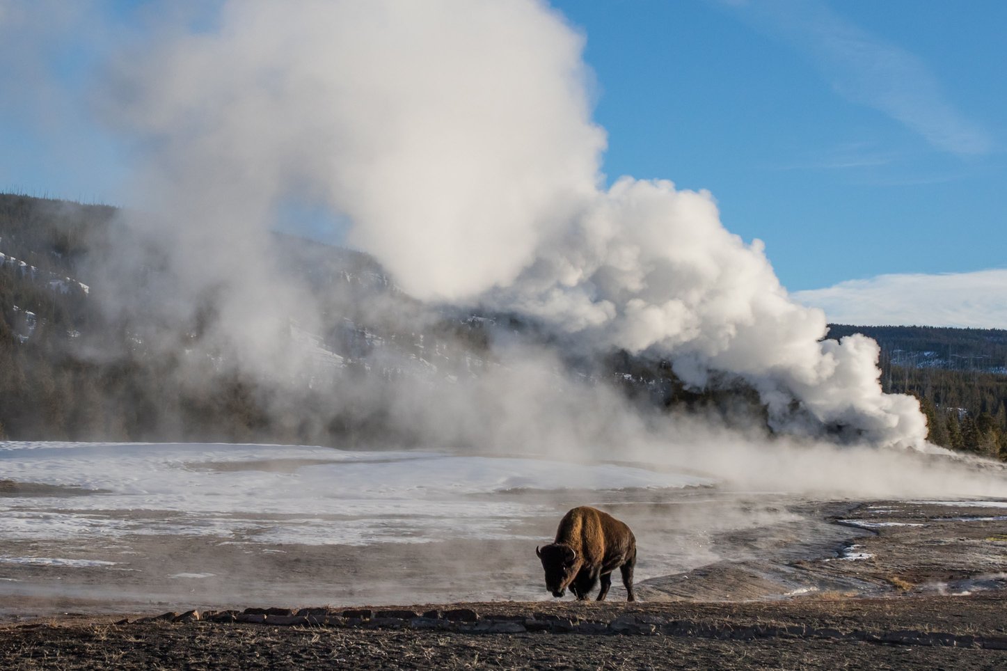 A Guide to Geysers in Yellowstone National Park