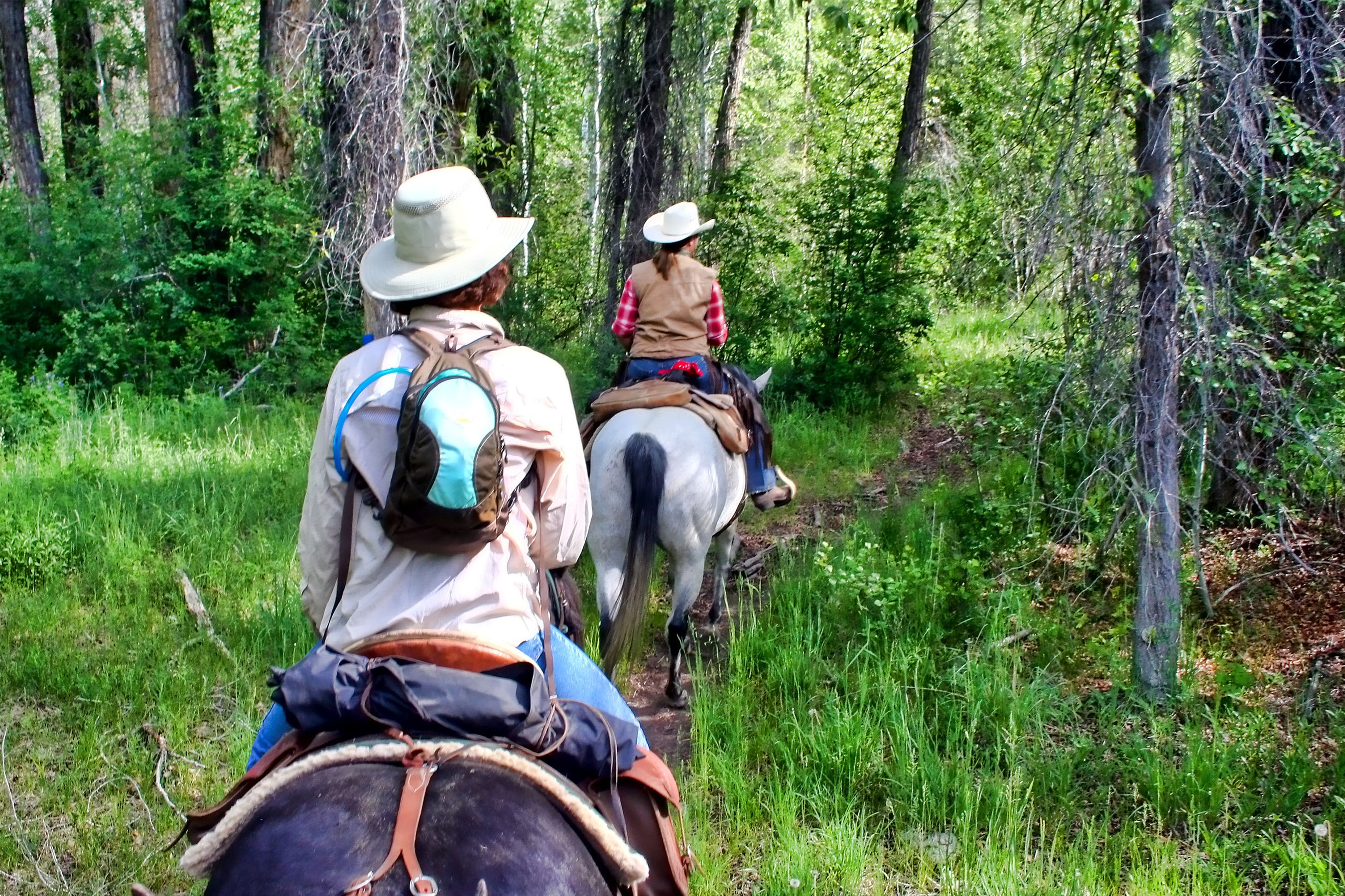 9 Places to Go Horseback Riding in Bozeman