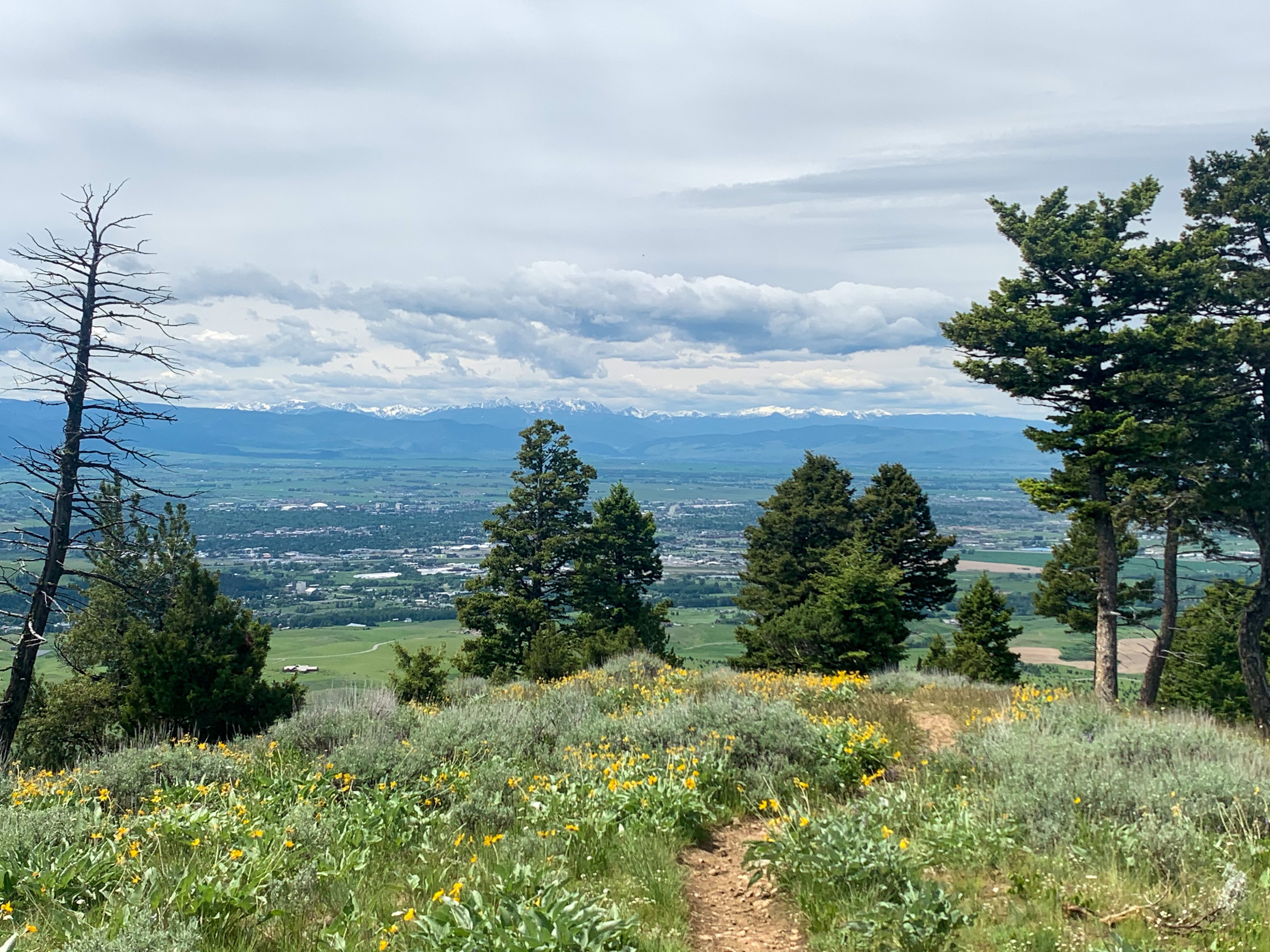 The 10 Best Hikes Near Bozeman: A Local's Guide