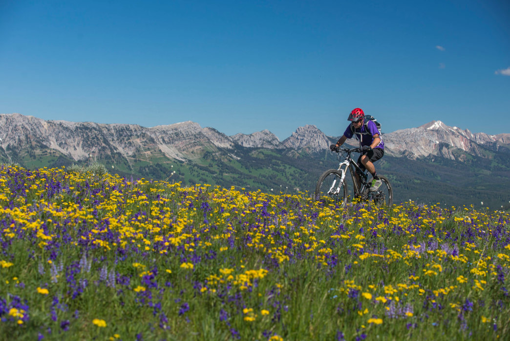 Top 10 Things To Do in Bozeman, MT in Summer