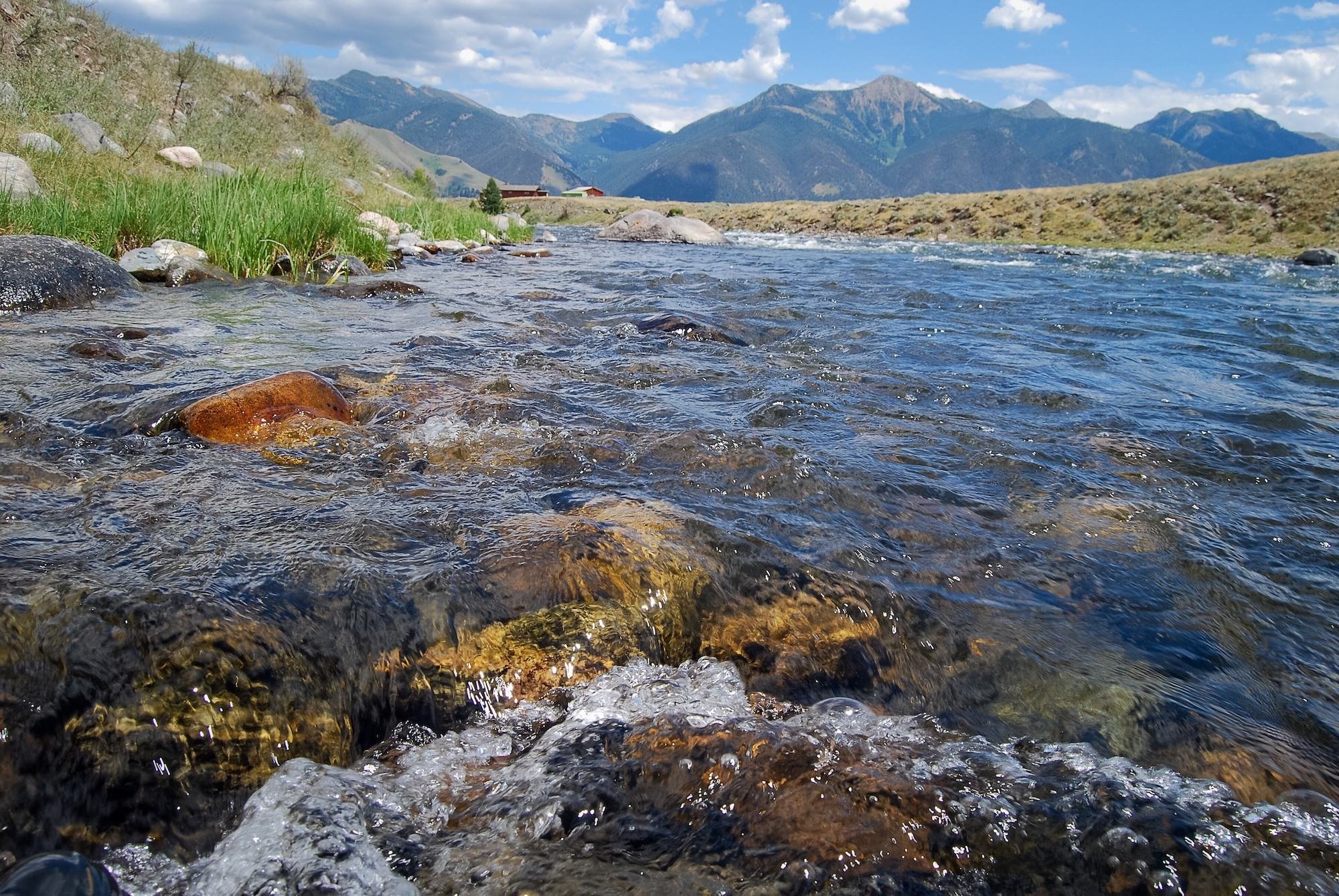 Float the Madison River: A Complete Guide