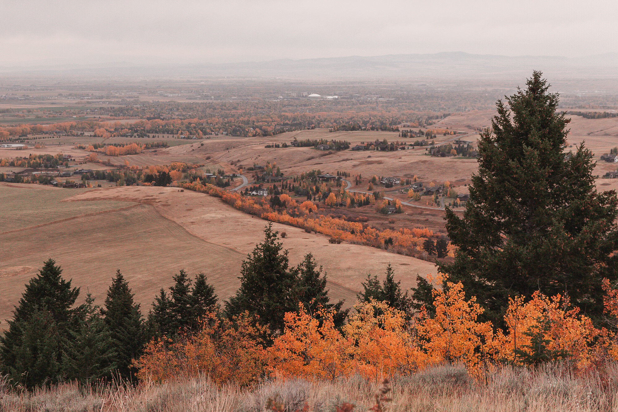 The 10 Best Hikes Near Bozeman: A Local's Guide